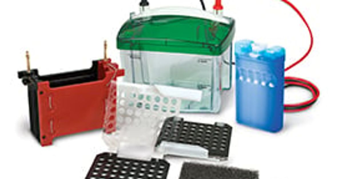 Mini Trans-Blot Electrophoretic Transfer Cell #1703930 reviews