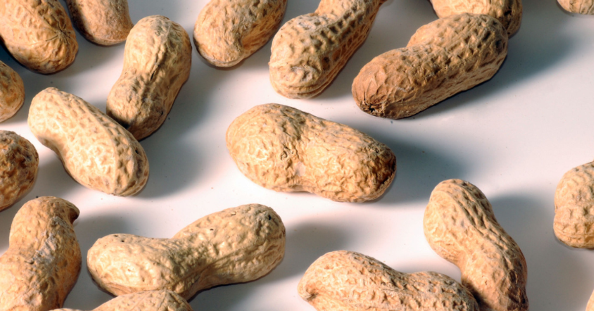 The diagnostic tools changing the future of food allergy testing