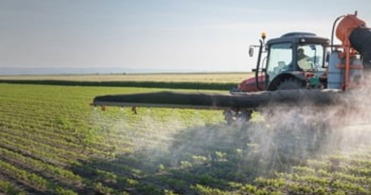 A Step Forward in Monitoring Pesticide Residues in Food