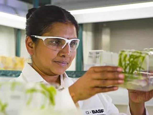 Tropic Biosciences partners with BASF to develop innovative traits for ...