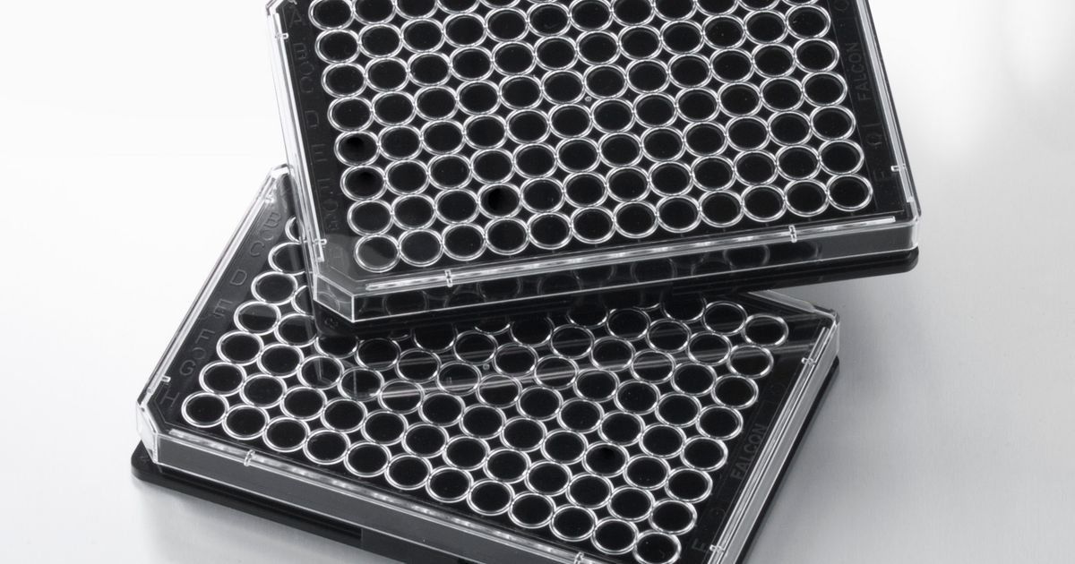 Falcon® 96-well Black Flat Bottom TC-treated Microplate, with Lid ...