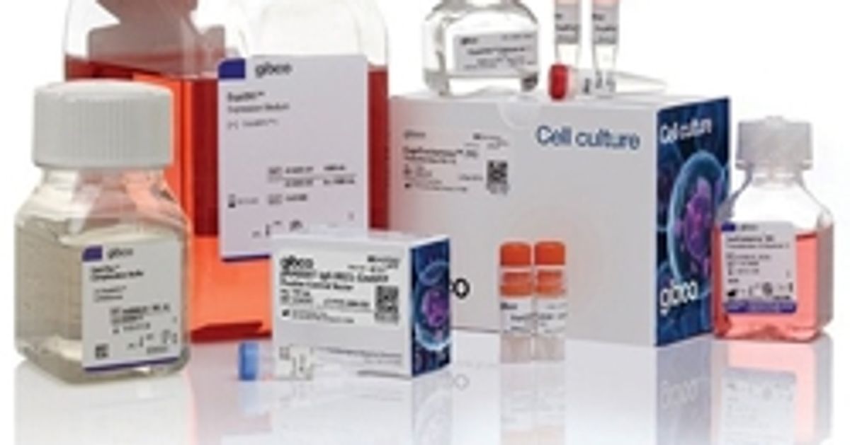 Gibco™ Expi293™ Expression System Kit | SelectScience