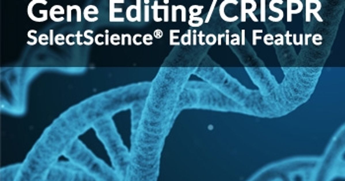 7 Steps to Better Gene Editing and CRISPR technology - Special Feature