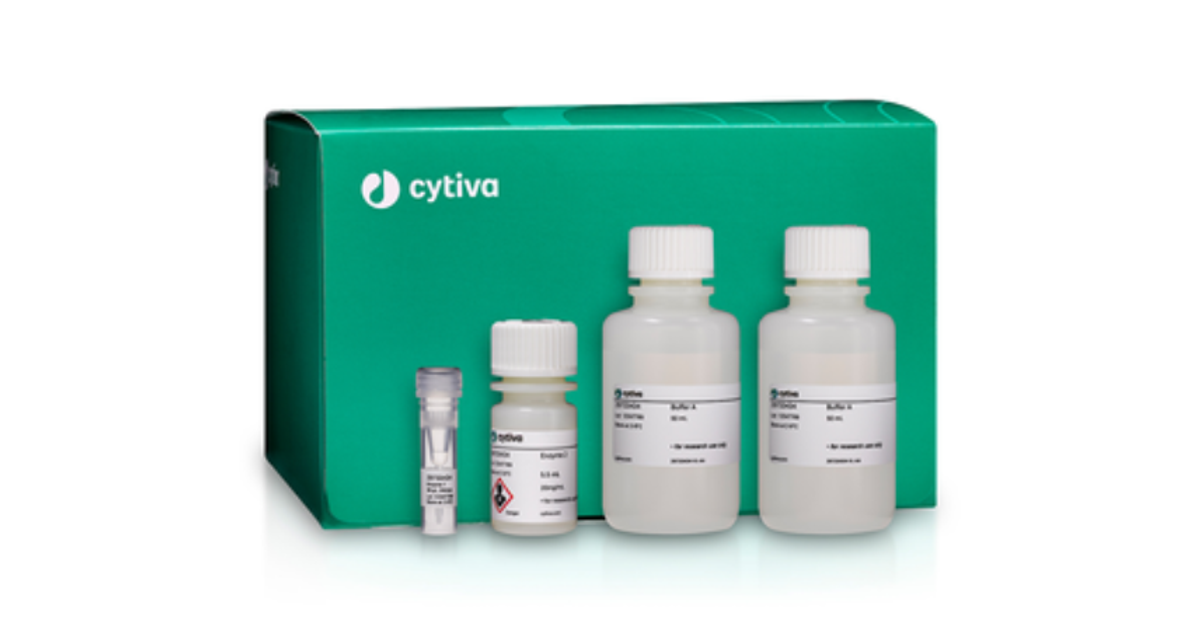 Cold dissociation enzyme mix - kidney