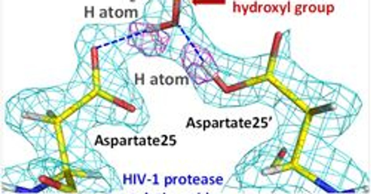Neutron Studies of HIV Inhibitors Reveal New Areas for Improvement in ...