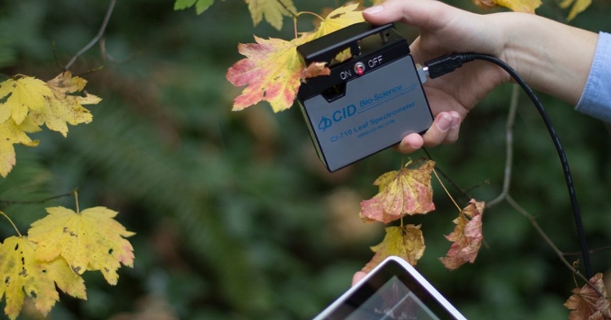 CI-710 Miniature Leaf Spectrometer reviews