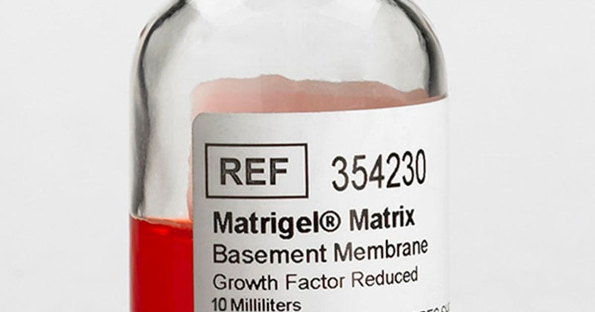 Buy Corning® Matrigel® Growth Factor Reduced (GFR) Basement Membrane ...