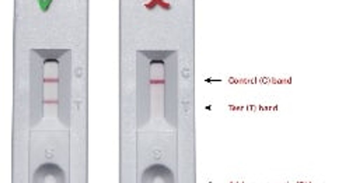Lenti-X™ GoStix™ Plus