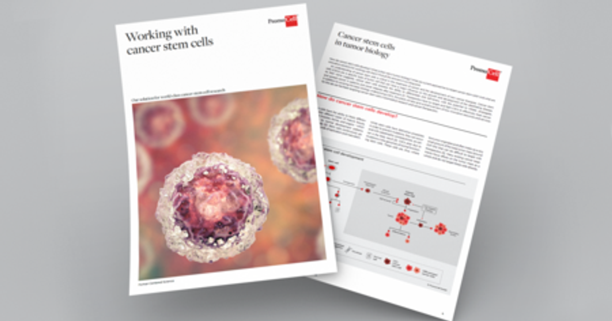 Working with cancer stem cells