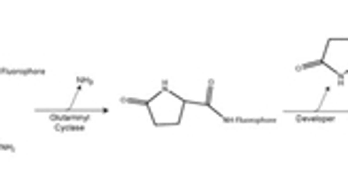 AnaSpec Launches Industry’s First Fluorimetric Assay for Measuring ...