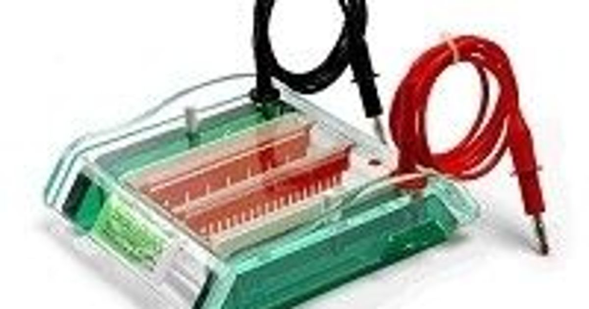 H1-SET Fast Mini-Gel Horizontal reviews