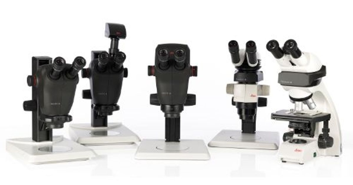 Ivesta 3 Greenough Stereo Microscopes | SelectScience