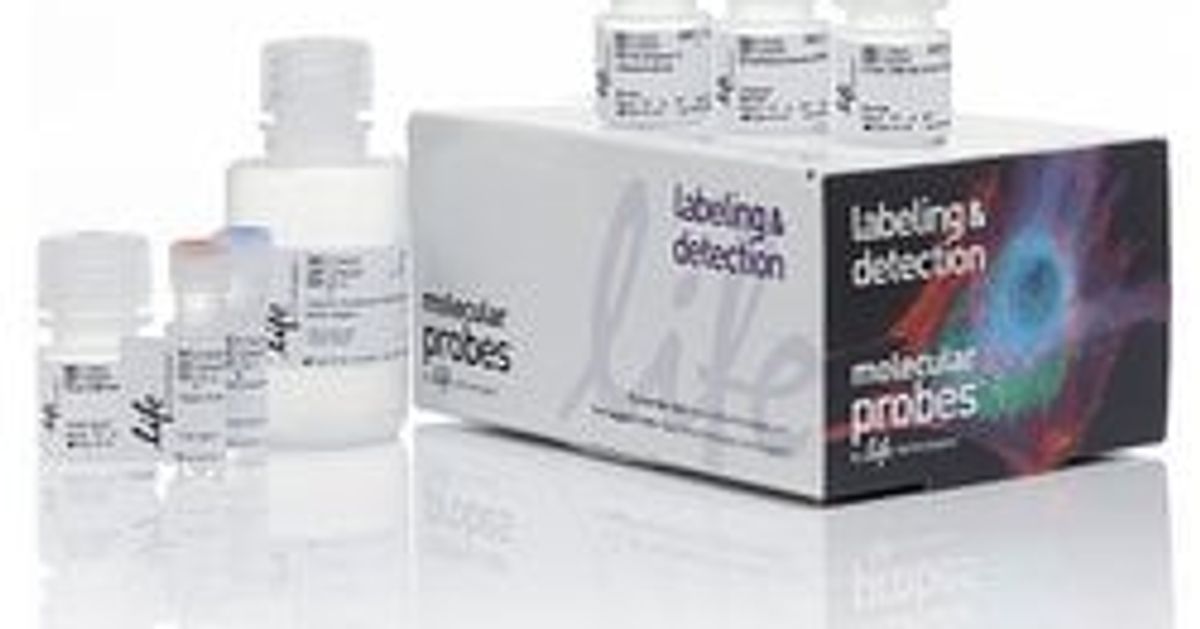 Invitrogen™ AbC™ Total Antibody Compensation Bead Kit