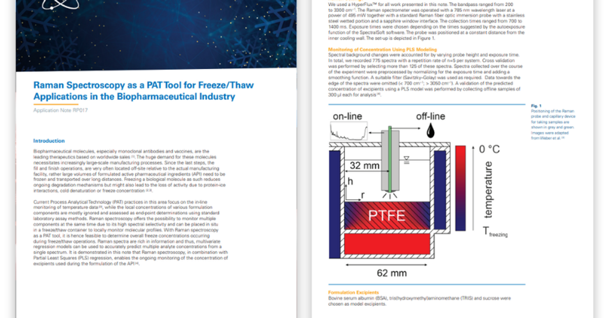 Raman spectroscopy as a PAT tool for freeze/thaw applications in the ...
