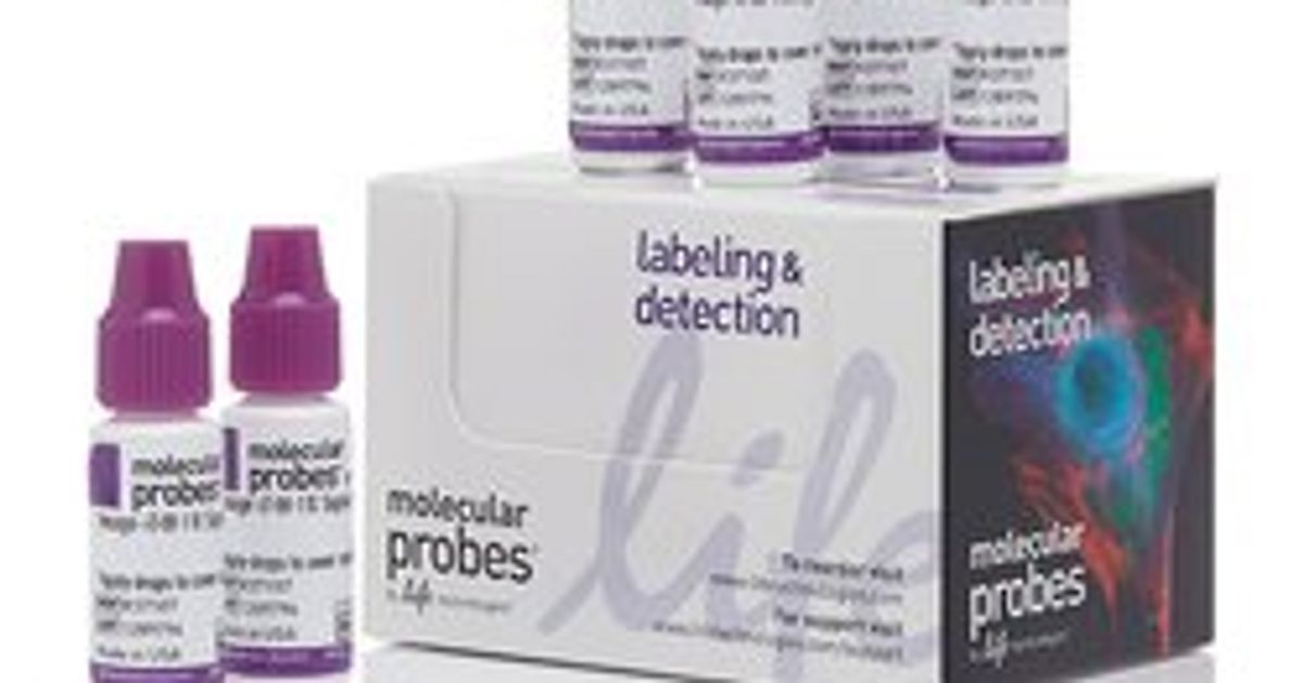 Buy Invitrogen™ Image-iT™ FX Signal Enhancer ReadyProbes™ Reagent Read ...