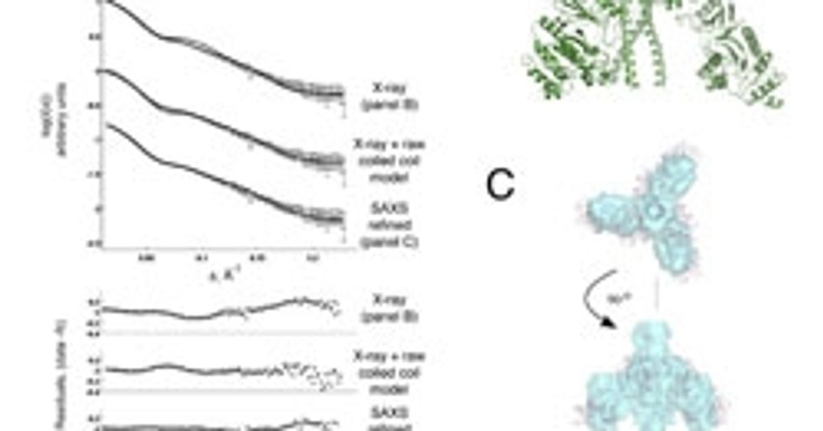 Scientists Gain First Glimpse of One of Nature’s Measuring ‘Rulers ...