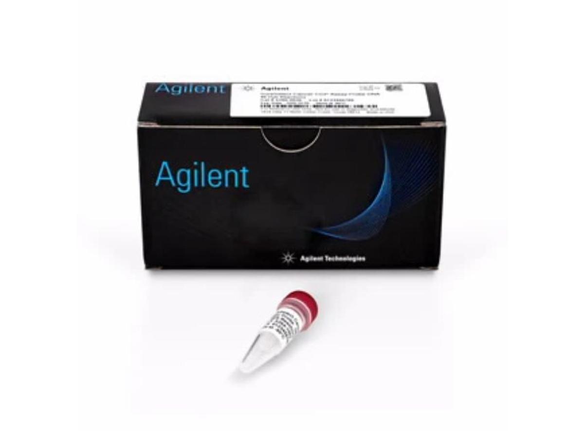 XL10-Gold Ultracompetent Cells