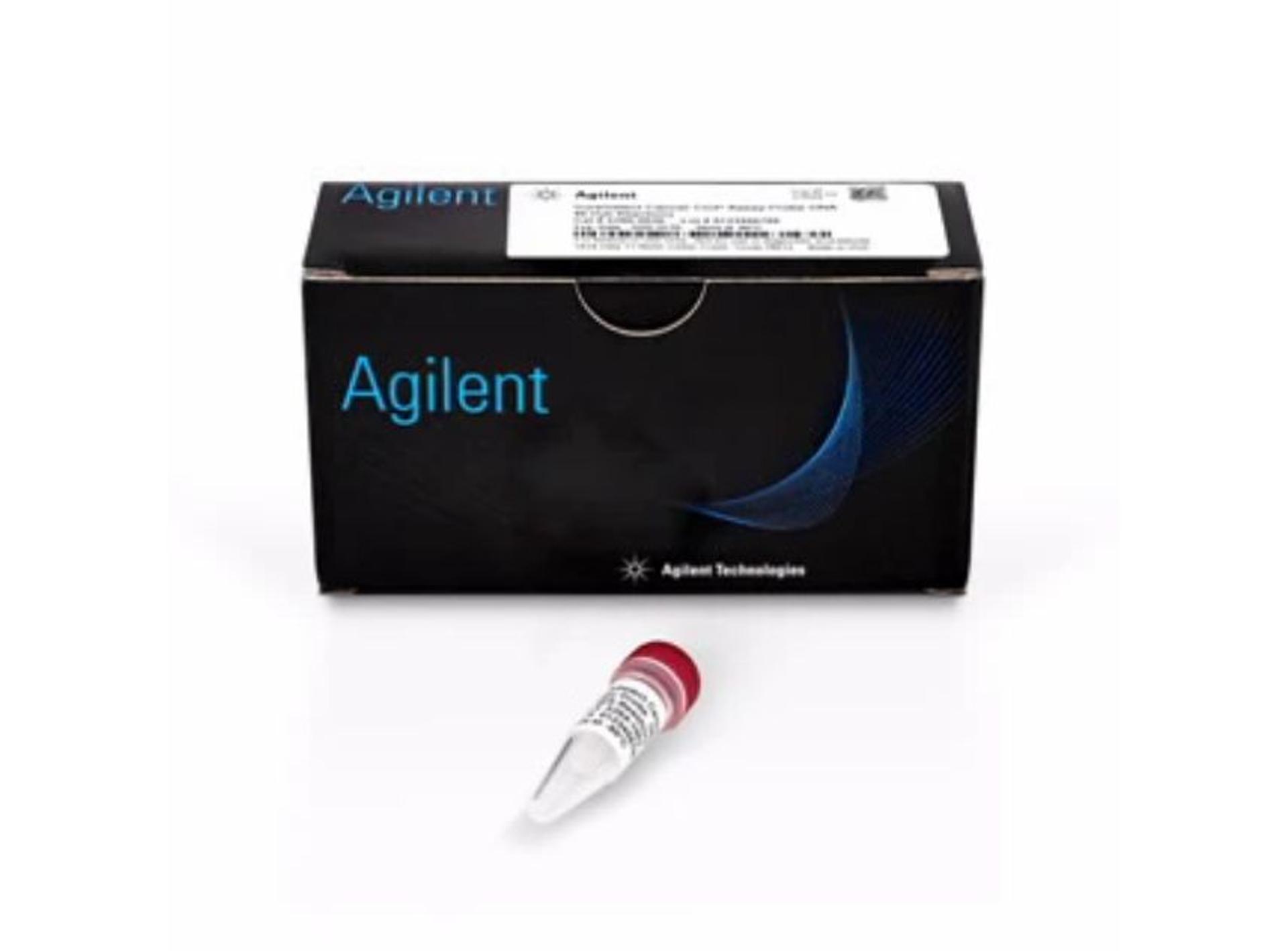 XL10-Gold Ultracompetent Cells