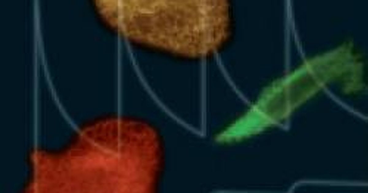 Zeiss Laser Scanning Module Doubles Experimental Versatility