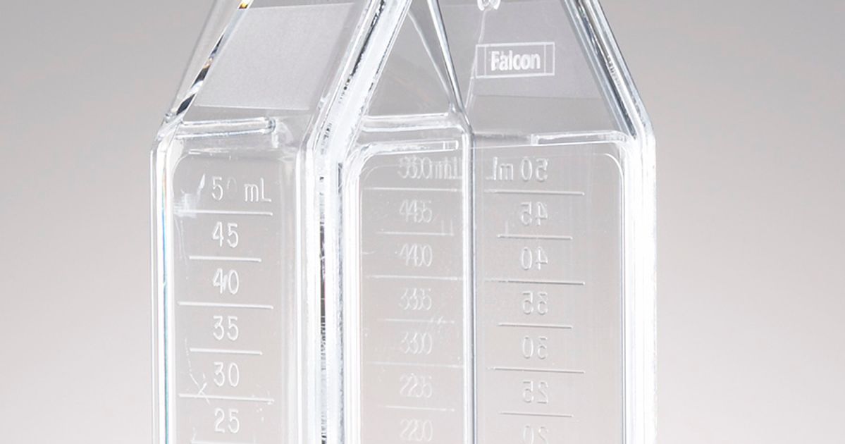 Corning® BioCoat™ Poly-D-Lysine 25cm² Rectangular Canted Neck Cell ...