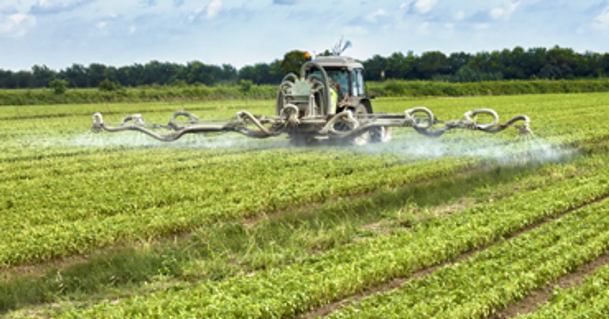 Exclusive Webinar Highlights: Simultaneous Quantitative Determination ...