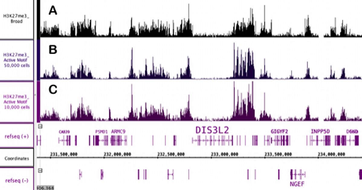 Low Cell Number ChIP-Seq Services