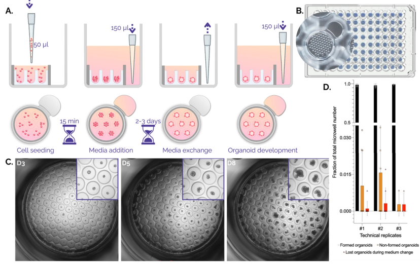 Microwell plates to standardize automated organoid workflows