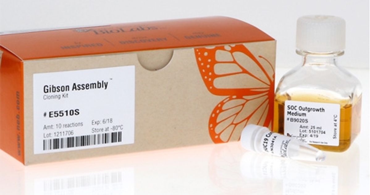 Gibson Assembly® Cloning Kit