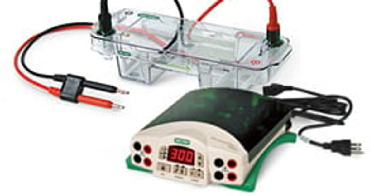 Mini-Sub Cell GT Horizontal Electrophoresis System and PowerPac Basic ...