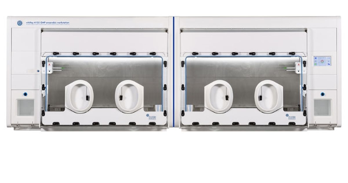 Whitley A155 GMP Workstation