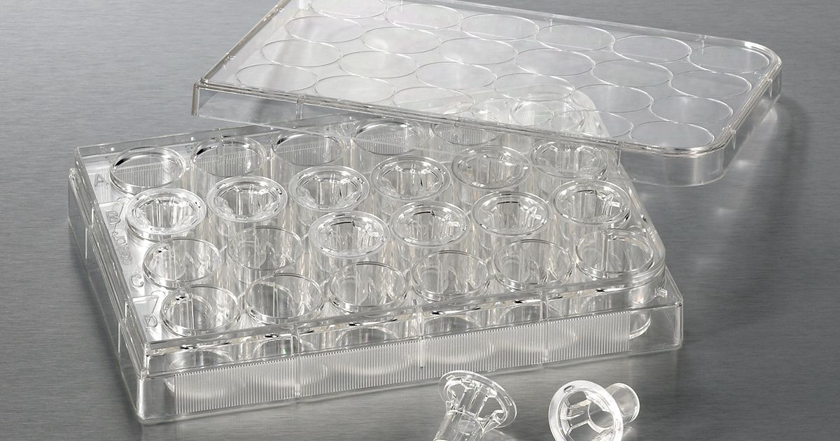 6.5 mm Transwell® with 5.0 µm Pore Polycarbonate Membrane Insert, Sterile