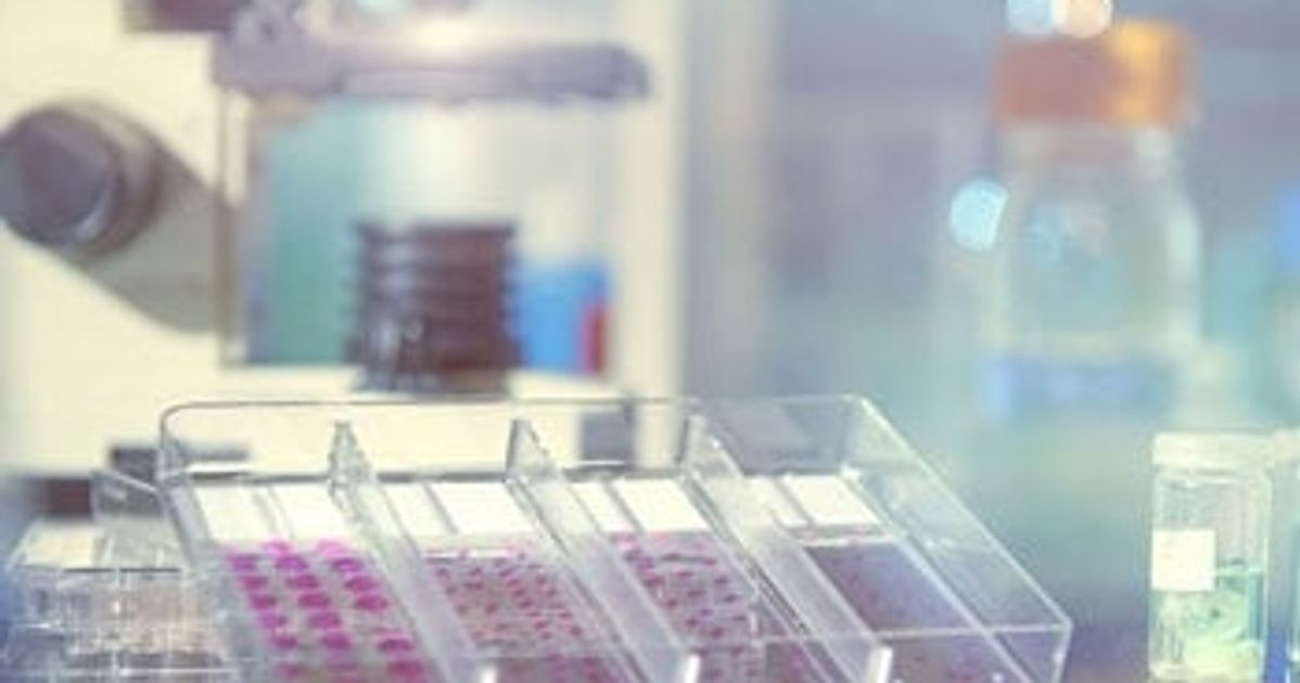 Detecting pre-cancerous lesions: Duke researcher uses new RNAscope ...