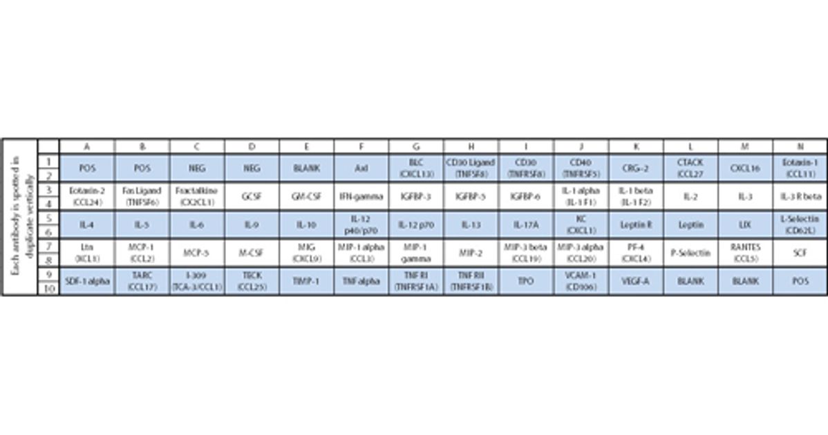 Mouse Cytokine Array C3