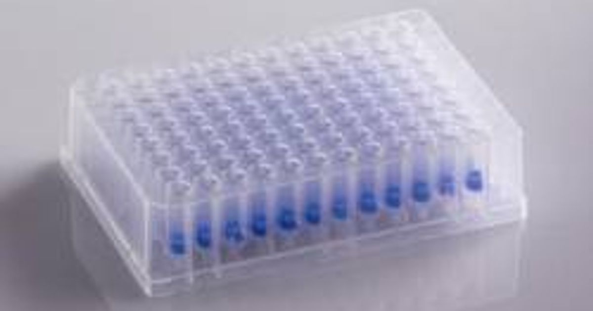 Dye Terminator Removal Kit reviews