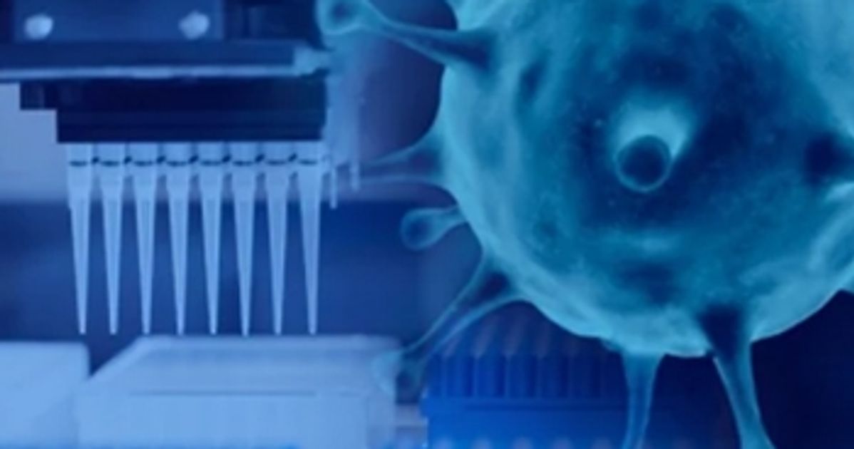 Nonacus introduces Whole Genome Sequencing service to support SARS-CoV ...