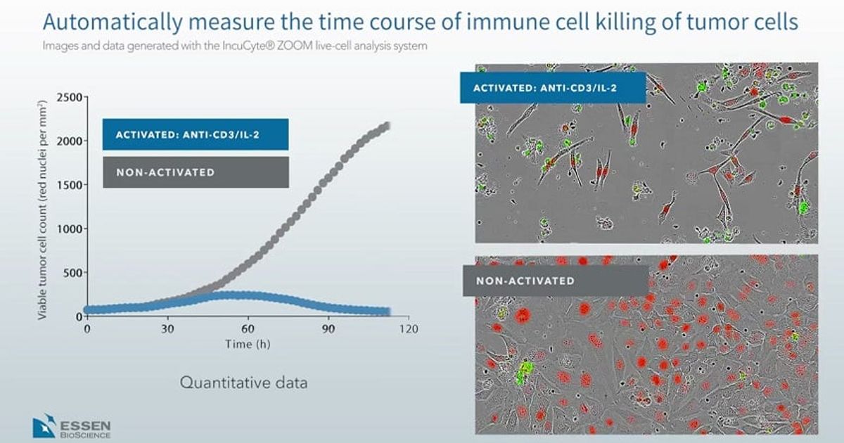 Analysis of Immune Cell Killing of Tumor Cells Using the IncuCyte® System