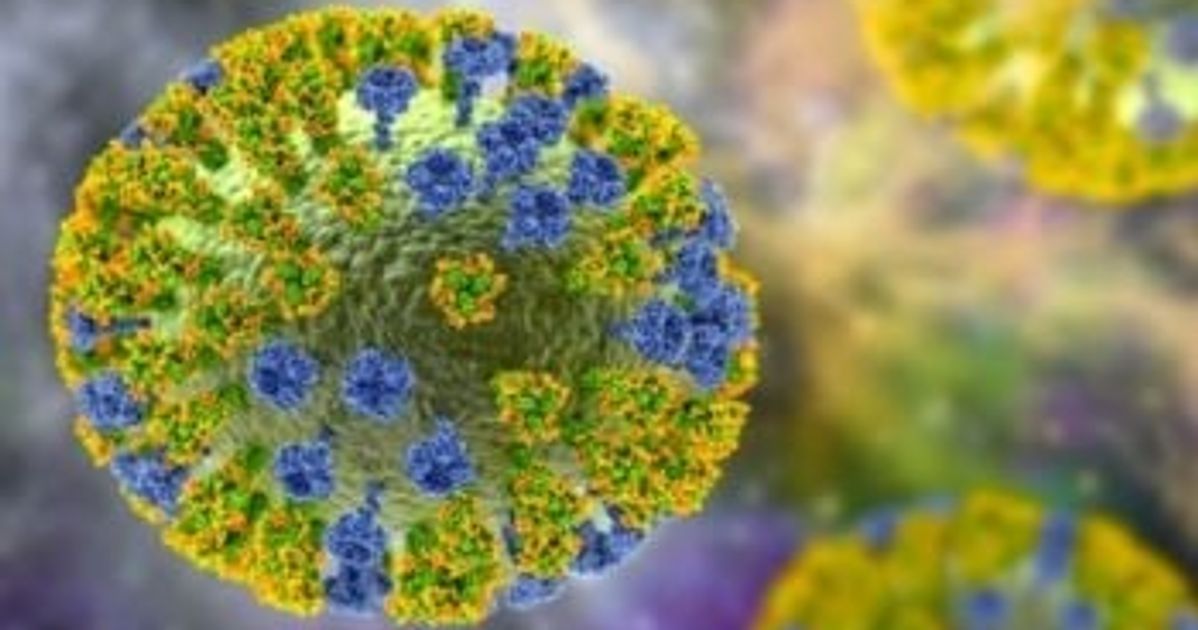 Key gene that blocks the ‘spillover’ of avian flu to humans discovered