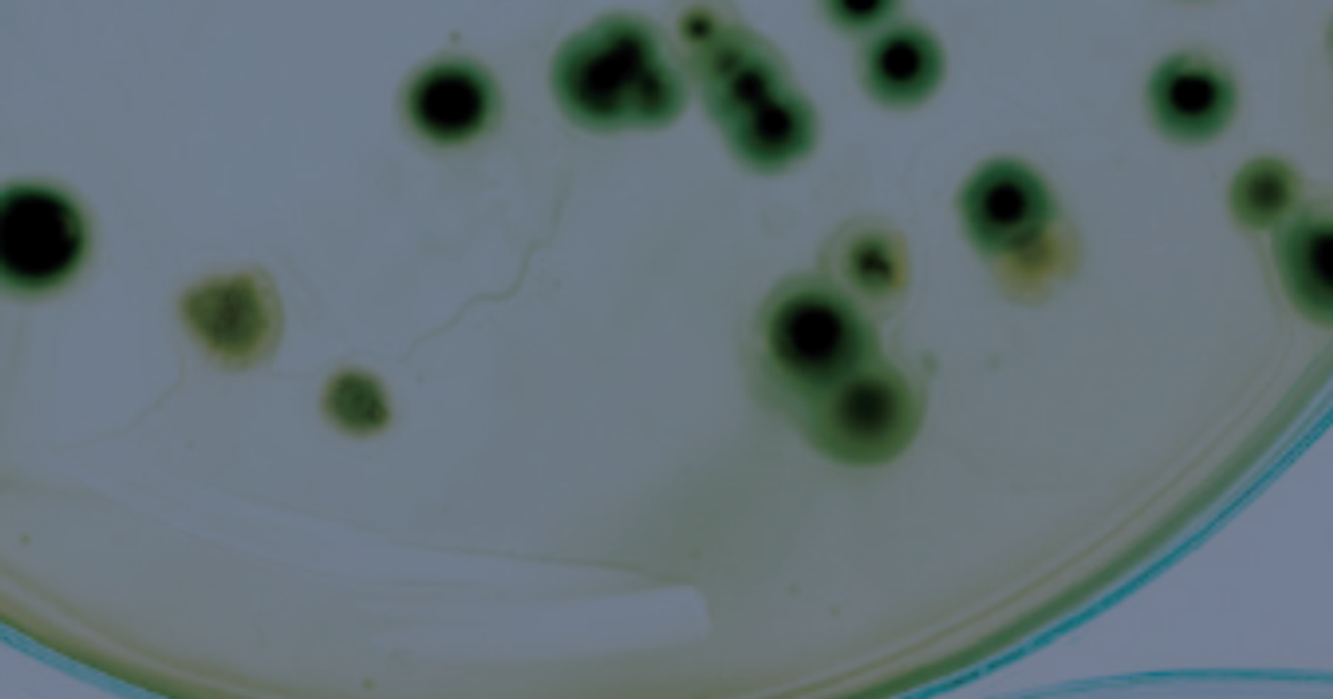 Redefining rapid AST for Gram-negative bloodstream infections