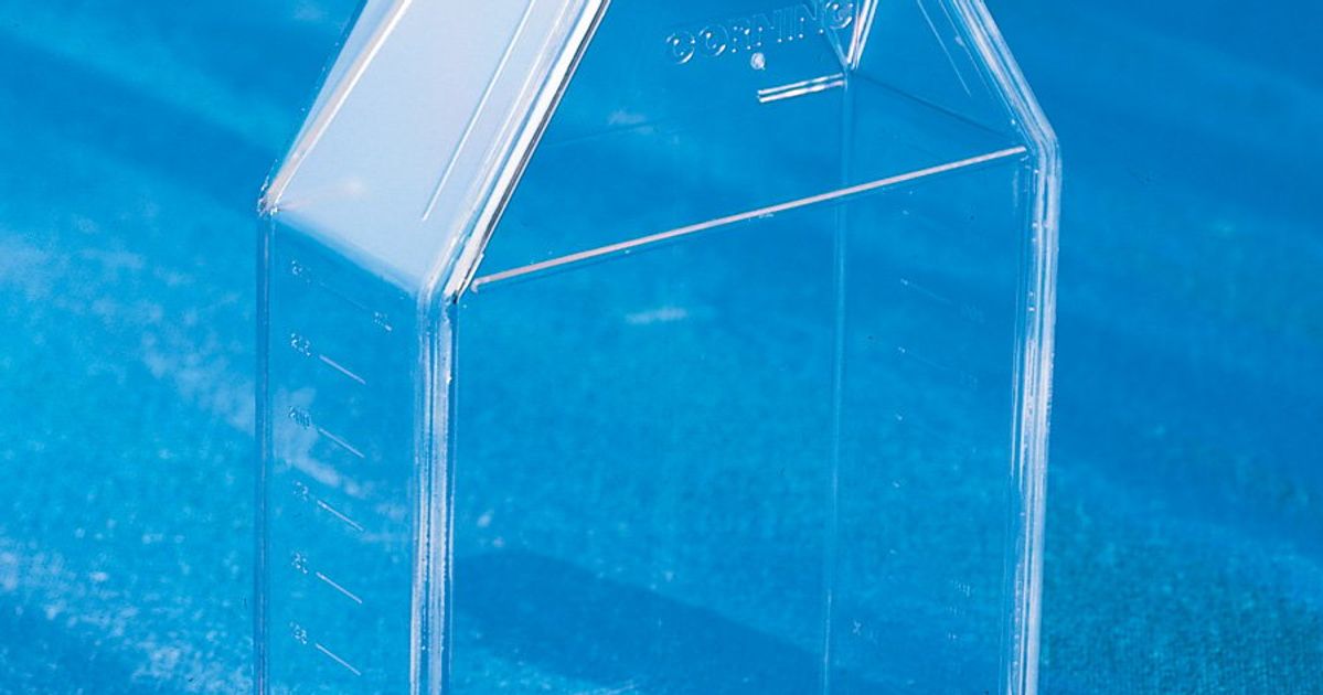 Corning® 75cm² Rectangular Canted Neck Cell Culture Flask with Vent Cap ...