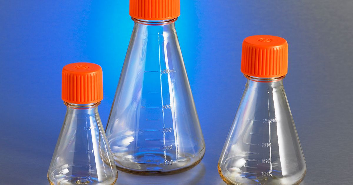 Buy Corning® 250 mL Polycarbonate Erlenmeyer Flask with Vent Cap Read ...