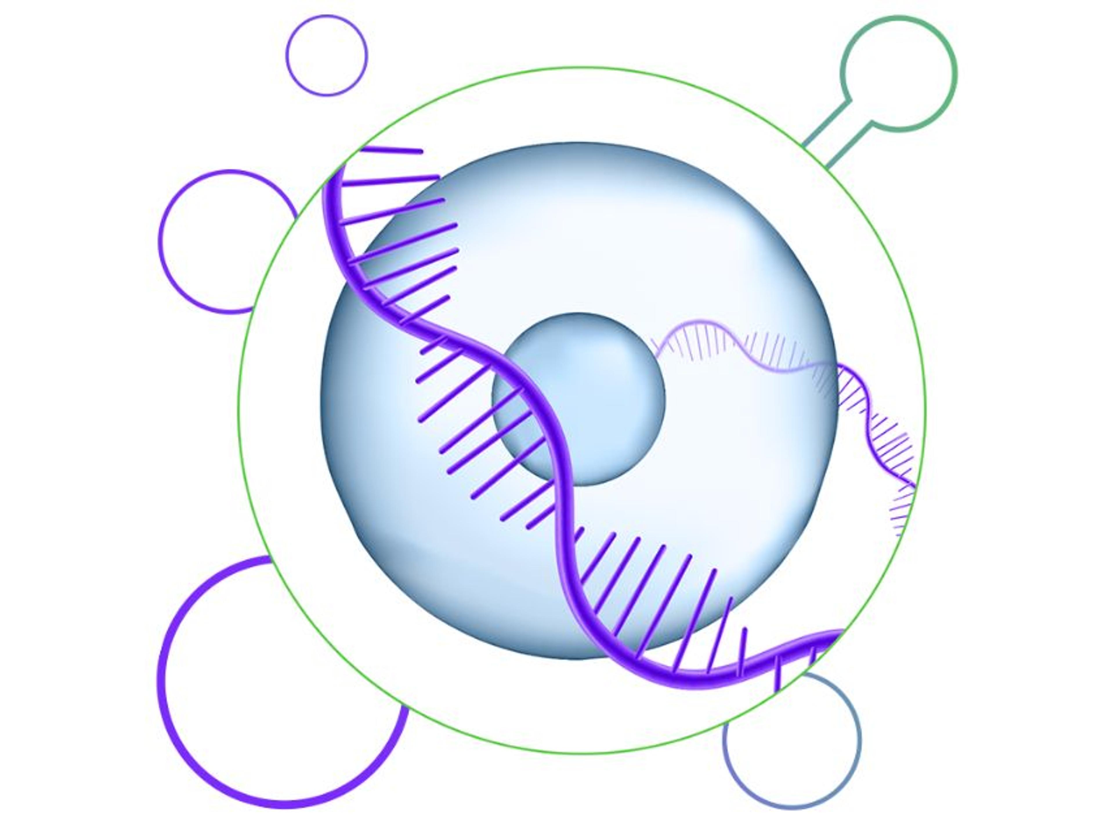 Single Cell RNA Sequencing Kit Single Cell RNA Sequencing Kit