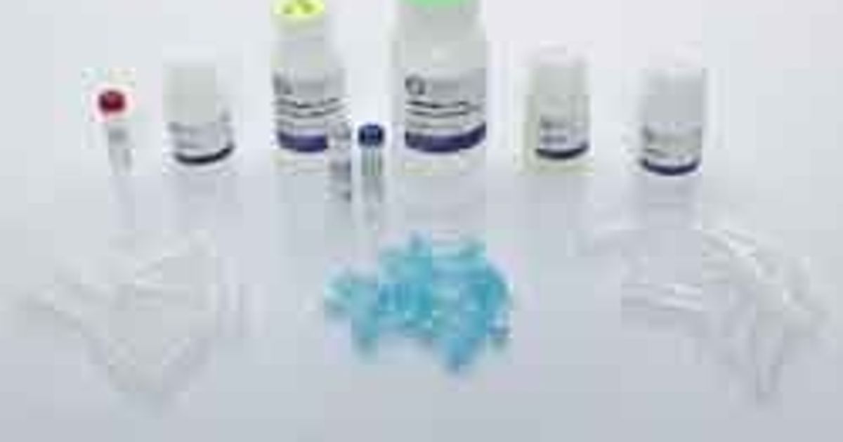 Buy Bacteria DNA Kit Read Reviews