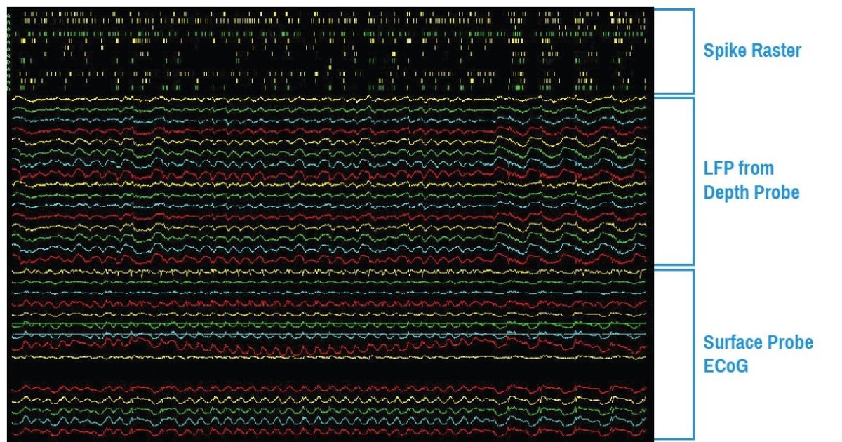 Neuronexus ECog Probes reviews