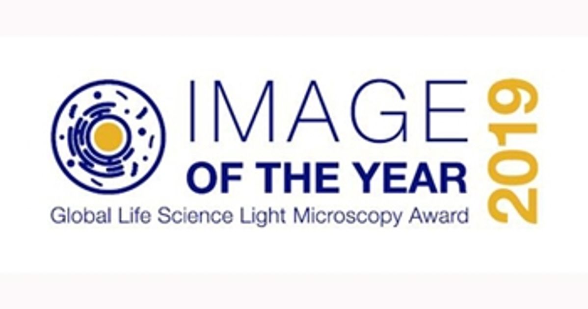 The art of science: Olympus launches the first global Image of the Year ...