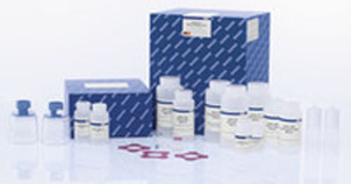 Buy EndoFree Plasmid Mega Kit (5) Read Reviews