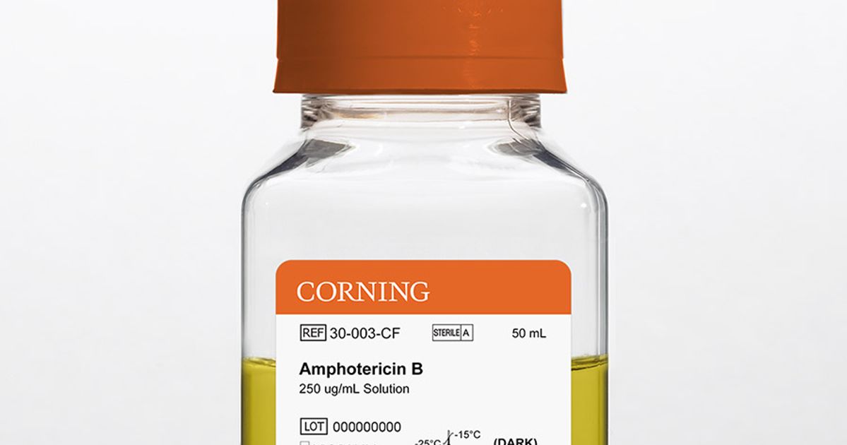 Corning® 50 mL Amphotericin B, Liquid