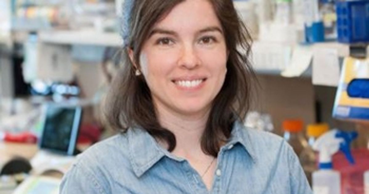 Harnessing next-generation cell culture methods in the fight against cancer
