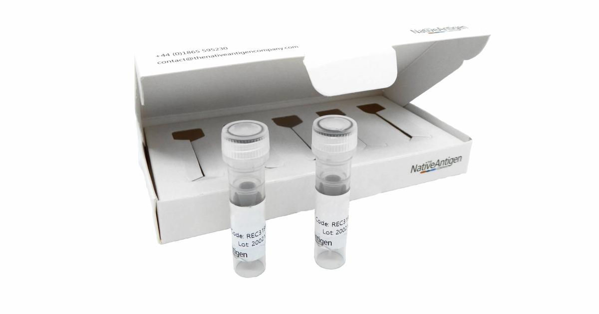 Buy Conjugation Kit Read Reviews