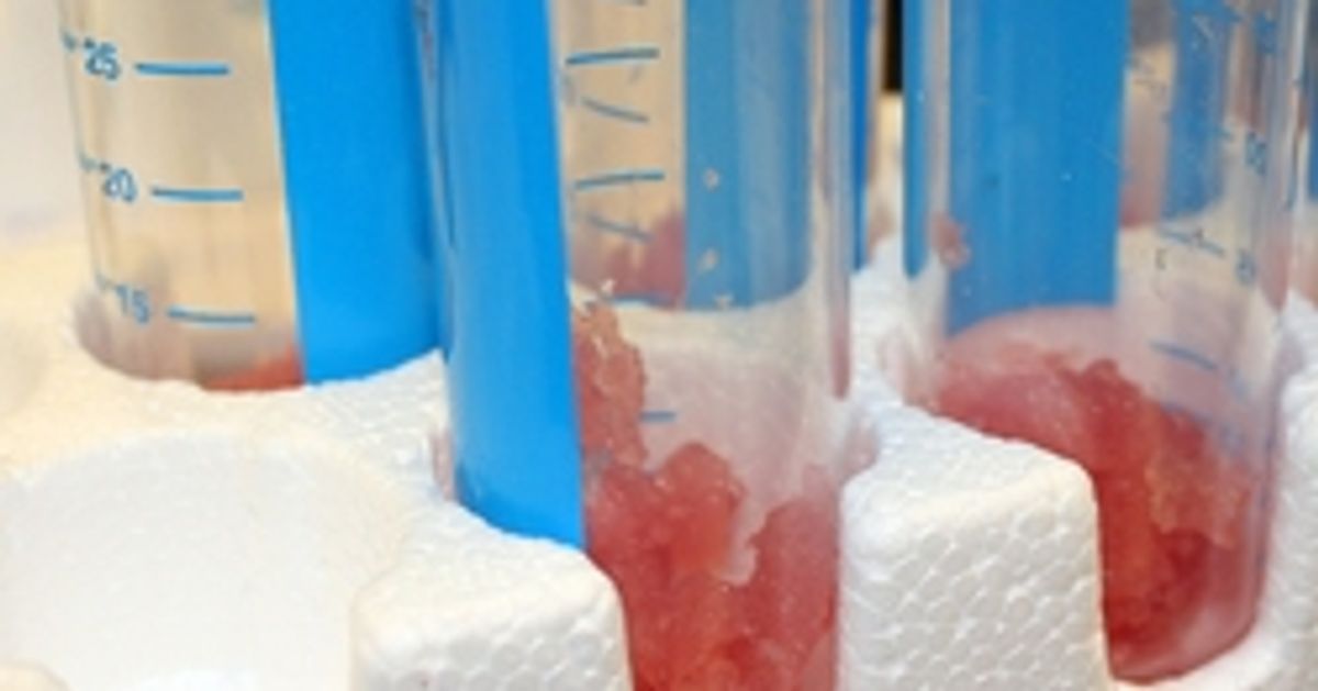 Bioo Scientific Offers State-of the-Art, Full Service Analytical Food ...