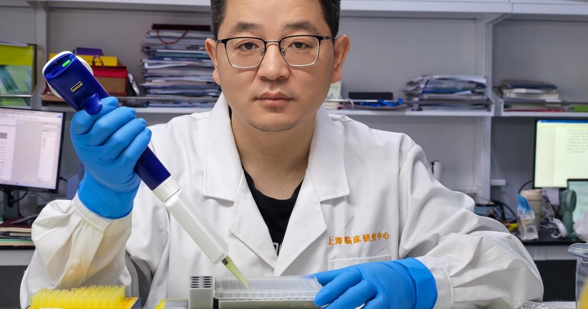 Real-time imaging revolutionizes tumor organoid research ...